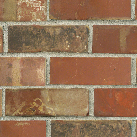Buy Old University Slimbrick - Natural Brick Tile - Mutual Materials