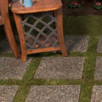 12" Square Exposed Aggregate Step Stone - Mutual Materials